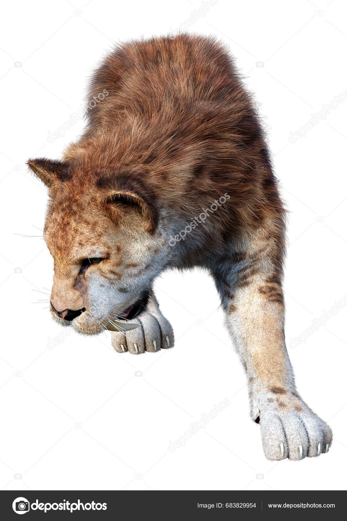 Rendering Sabertooth Tiger Isolated White Background — Stock Photo ...