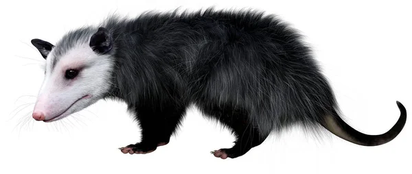 Poss Stock Photos, Royalty Free Poss Images | Depositphotos