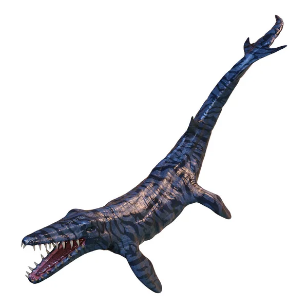 Imágenes de Mosasaurus png, fotos de Mosasaurus png sin royalties ...