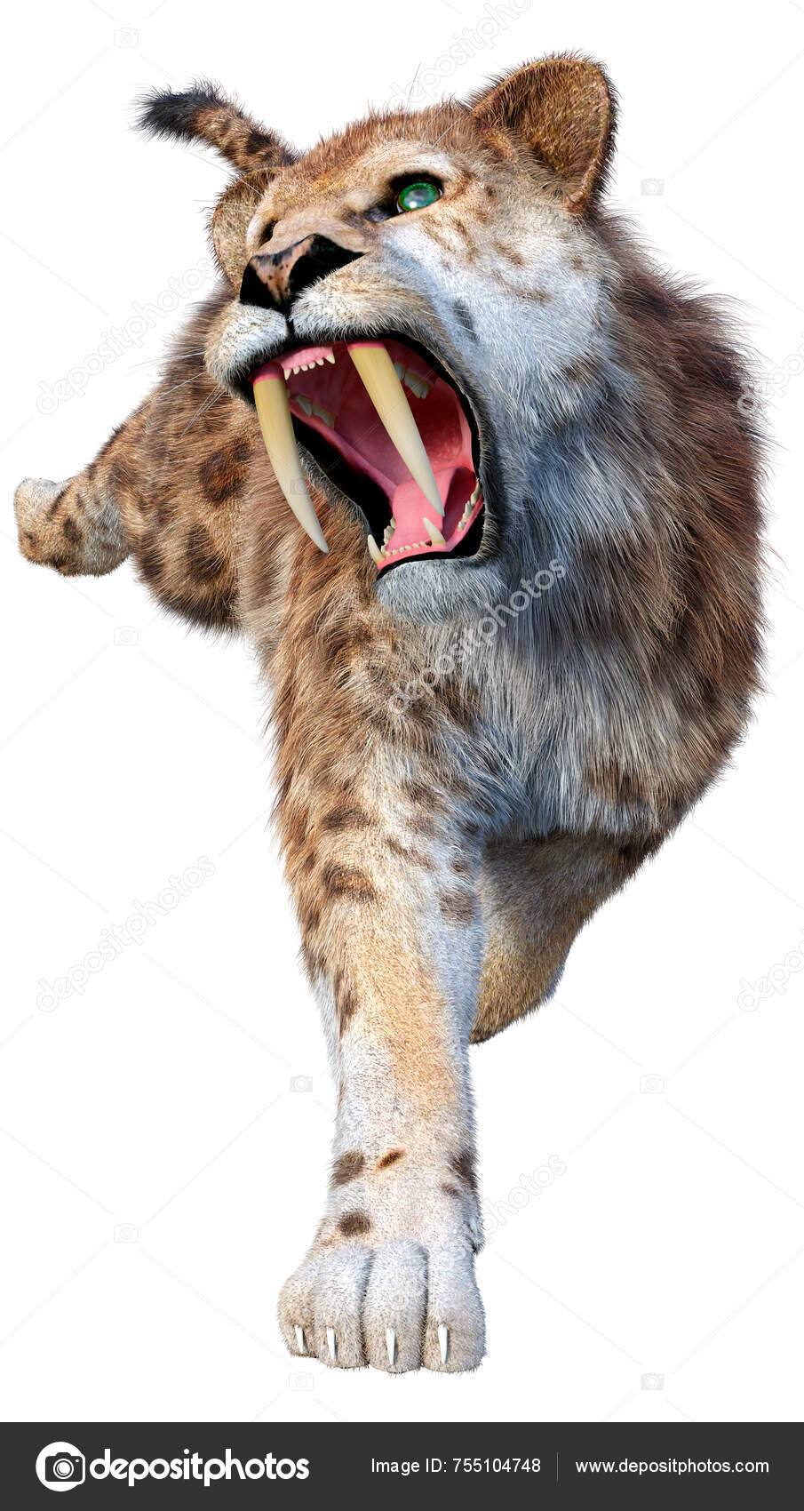 Rendering Saber Toothed Tiger Isolated White Background — Stock Photo ...