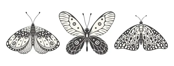 35,353,247 Metamorphosis Vector Images | Depositphotos