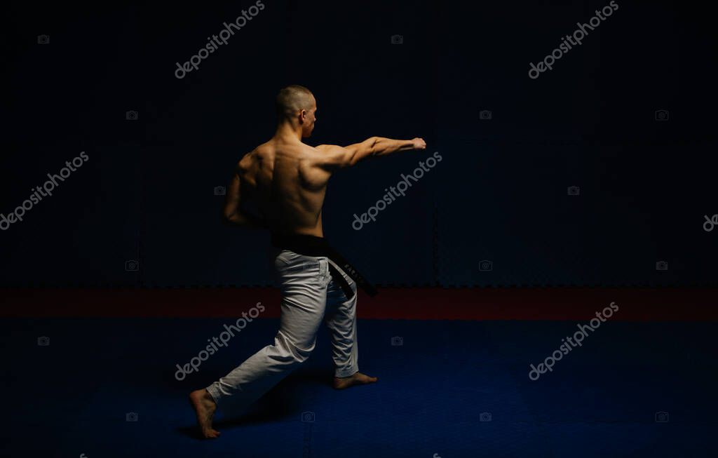 Silueta de joven karatista con cinturón negro haciendo la pose de Gyaku ...