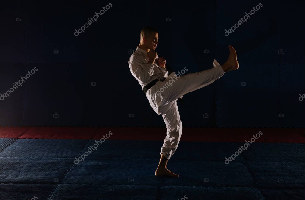 Silueta de un joven haciendo la pose de Mae Geri en el estudio de ...