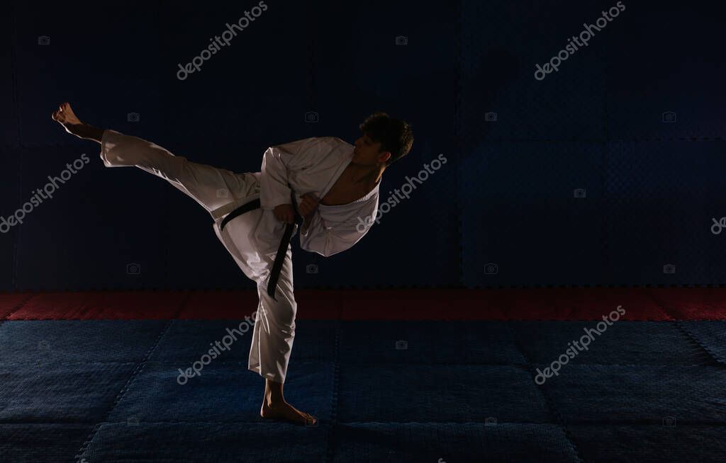 Joven y guapo karatista haciendo la pose de Yoko Geri en el estudio 2023