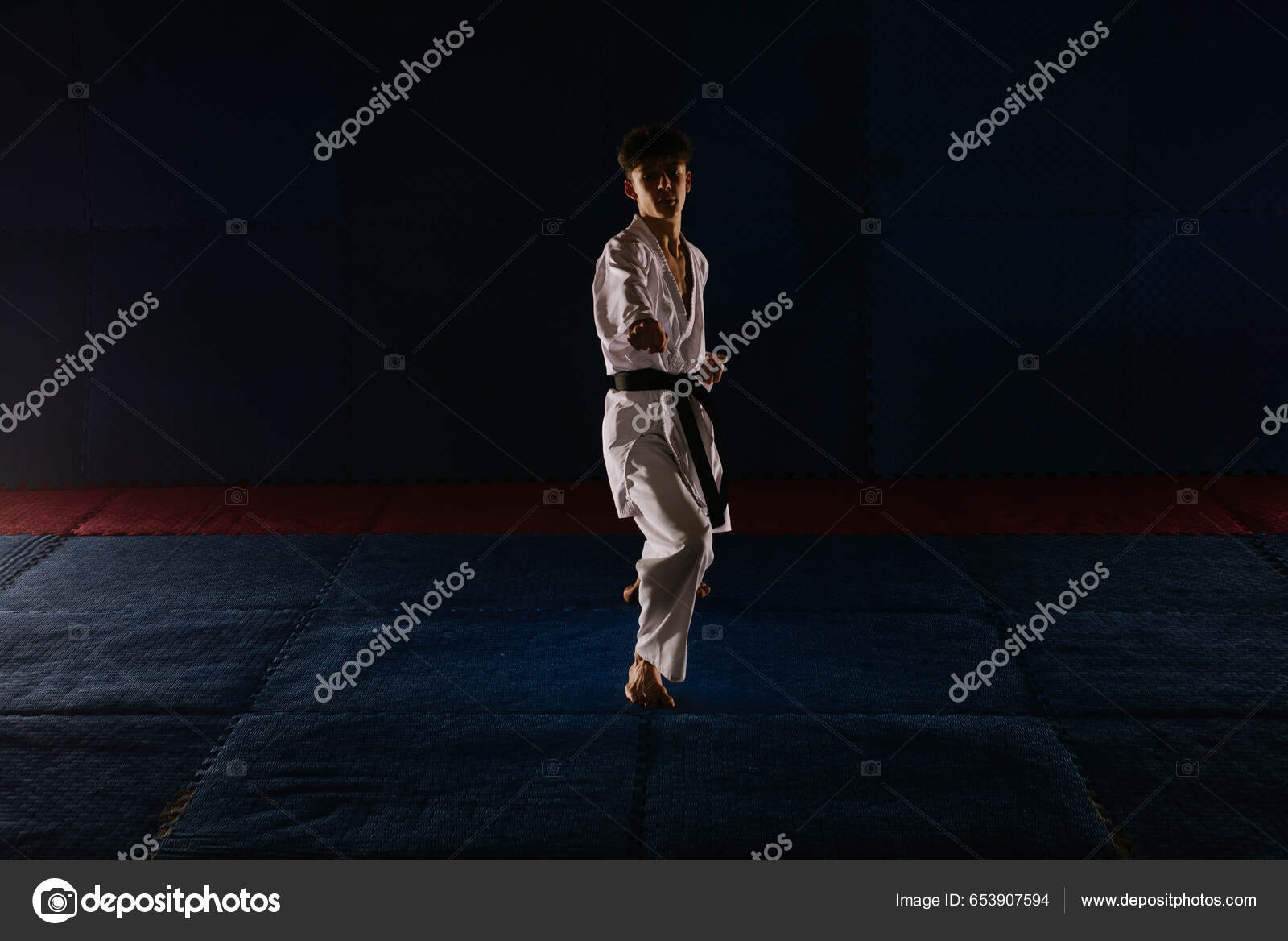 Close Young Karatist Doing Zenkutsu Dachi Pose Karaoke Studio — Stock ...