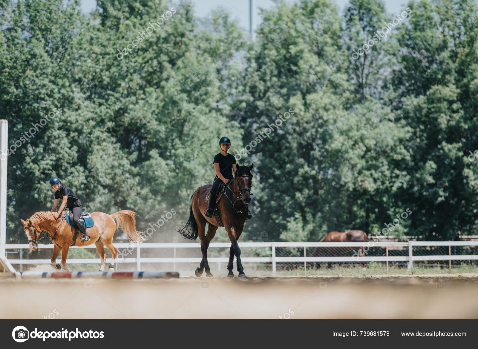 Two Equestrians Riding Horses Sunny Outdoor Arena Trees Background ...