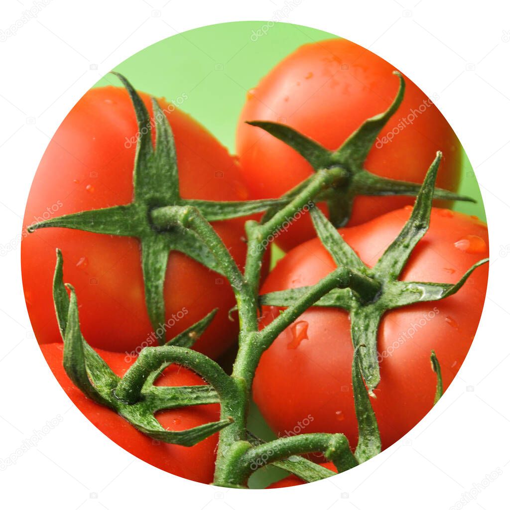 Tomate fresco, sabroso, todo el tomate orgánico, tomate orgánico fresco ...