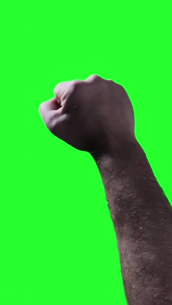 354 Green screen punch Stock Videos, 4K & HD Footage | Depositphotos