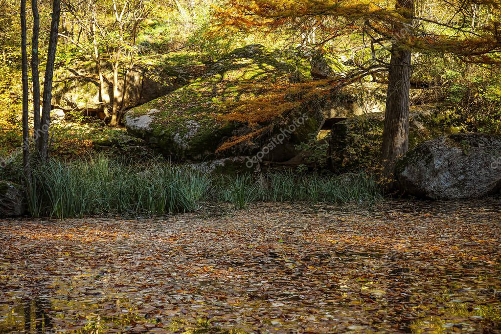 Vista de hermosos árboles, grandes rocas y lago con hojas caídas en el ...
