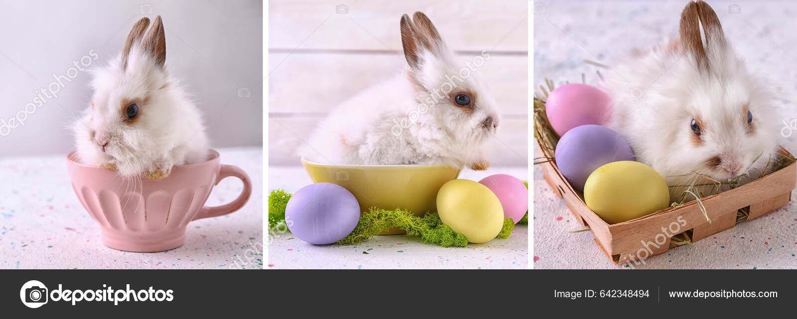 Collage Cute Bunnies Easter Eggs Light Background — Stock Photo ...