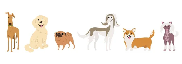 5 dogs Stock Photos, Royalty Free 5 dogs Images | Depositphotos