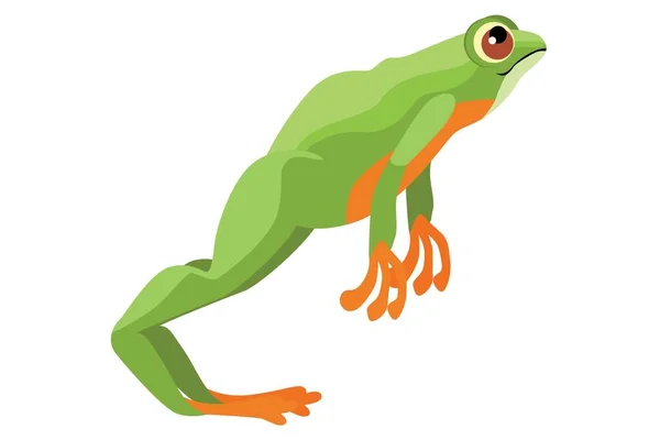 Frog Stock Photos, Royalty Free Frog Images | Depositphotos