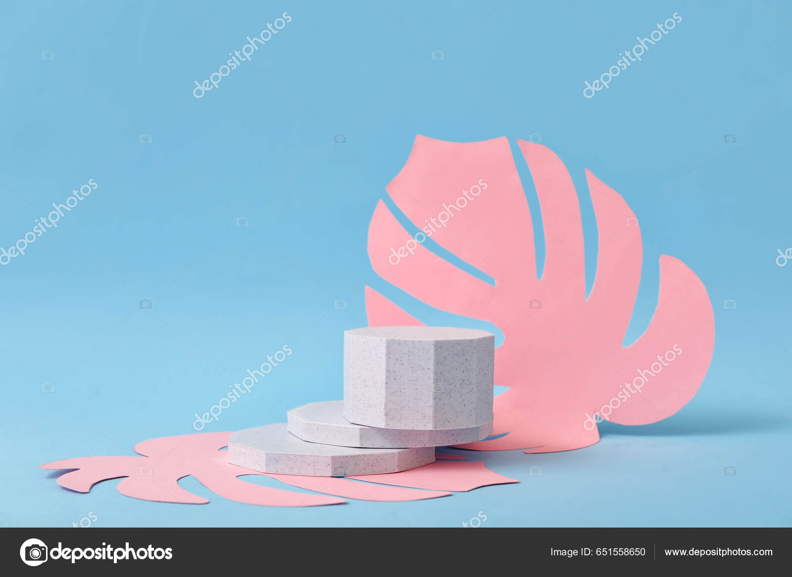 Decorative Plaster Podiums Paper Tropical Leaves Blue Background Stock ...