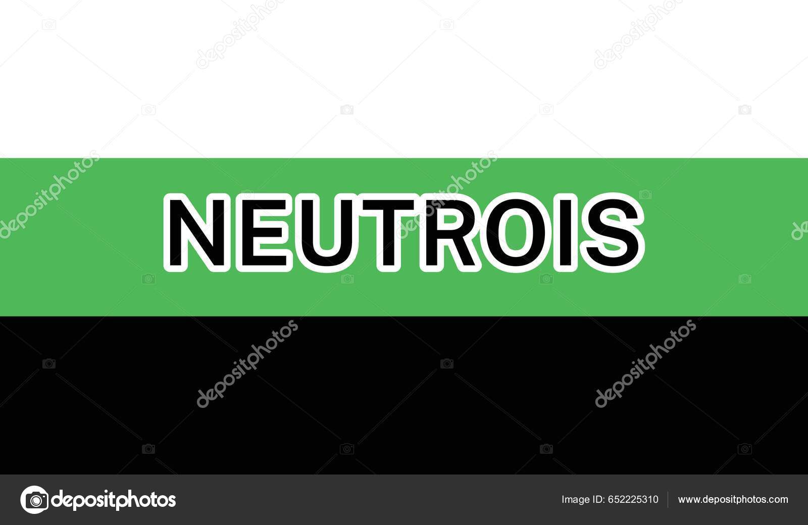 Vista Bandera Internacional Del Orgullo Neutrois Vector de stock ...