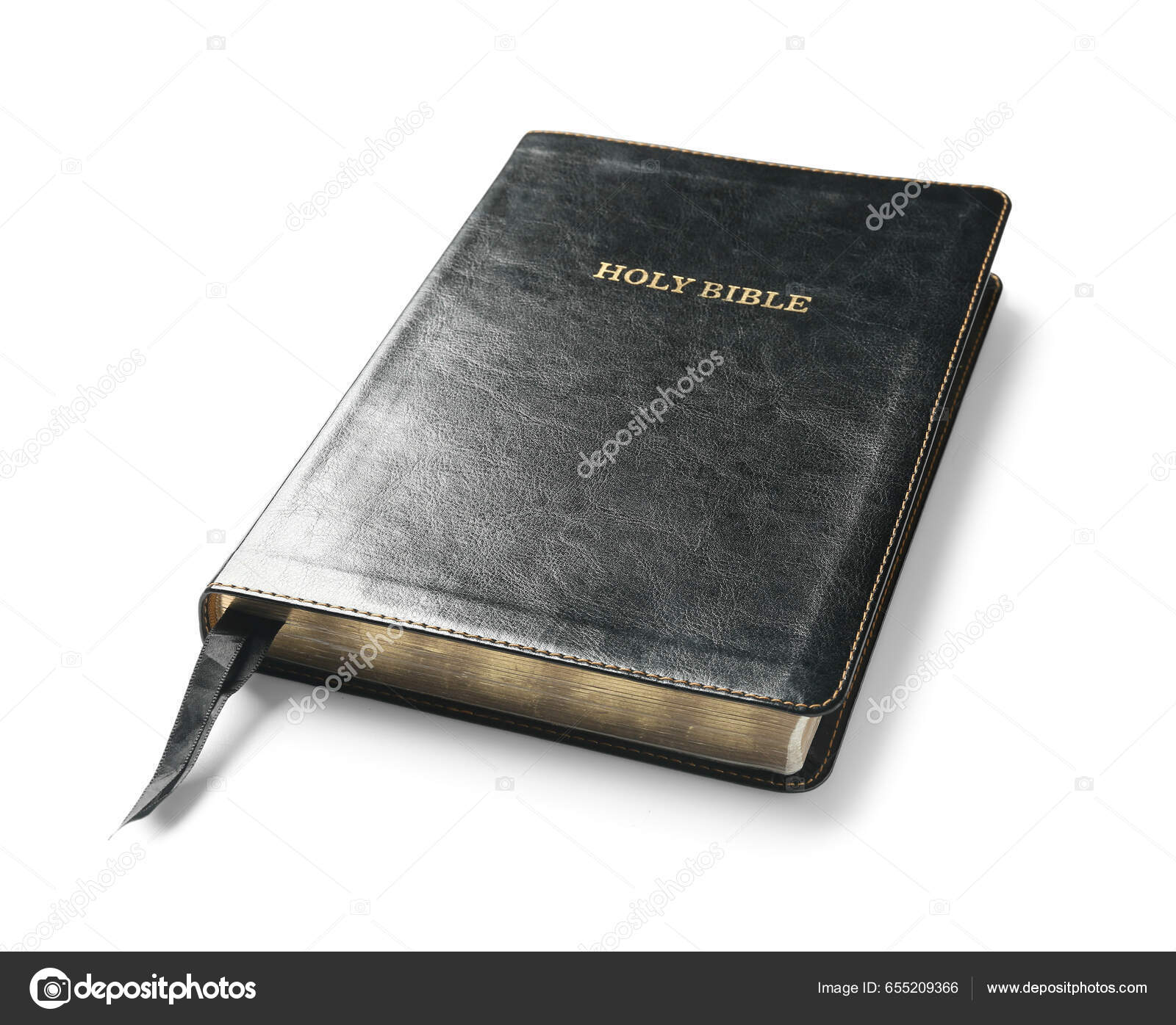 White Holy Bible Cover