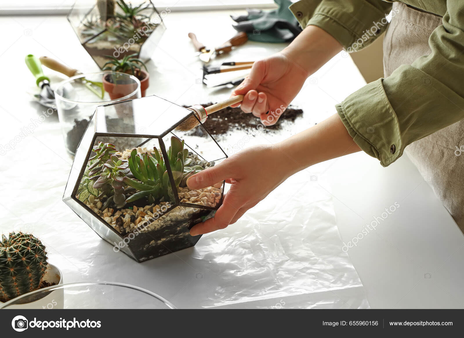 Woman Making Florarium Table Home Closeup — Stock Photo © serezniy ...