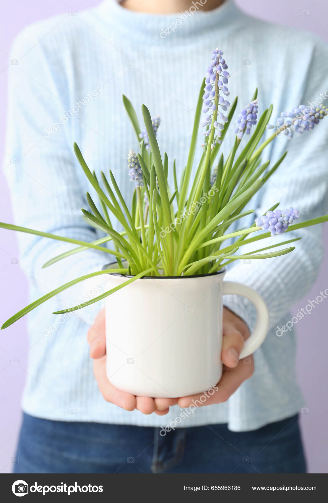 Woman Holding Cup Beautiful Muscari Flowers Lilac Background — Stock ...