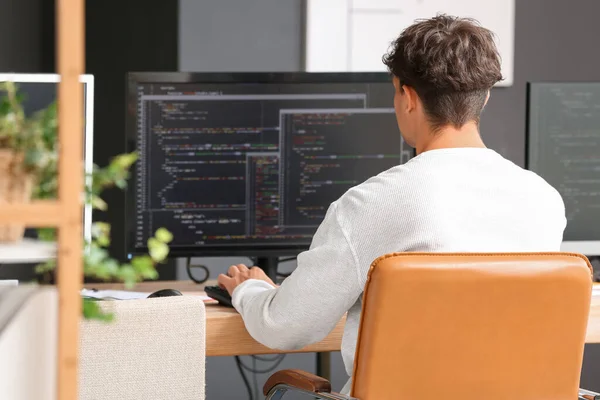 Male Programmer Working Computer Table Office Back View Stock Photo by ...