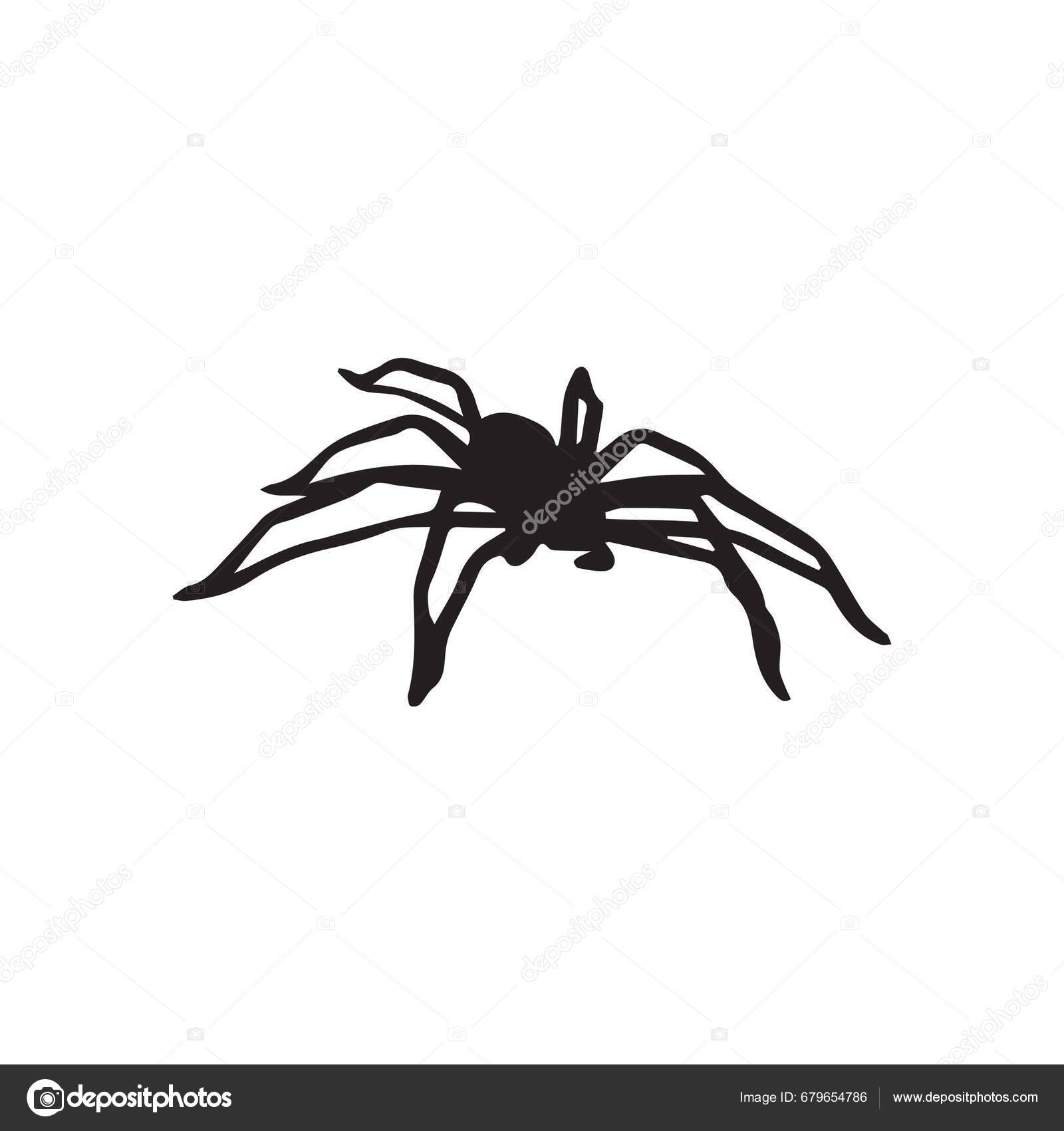 Scary Spider White Background Stock Vector by ©serezniy 679654786