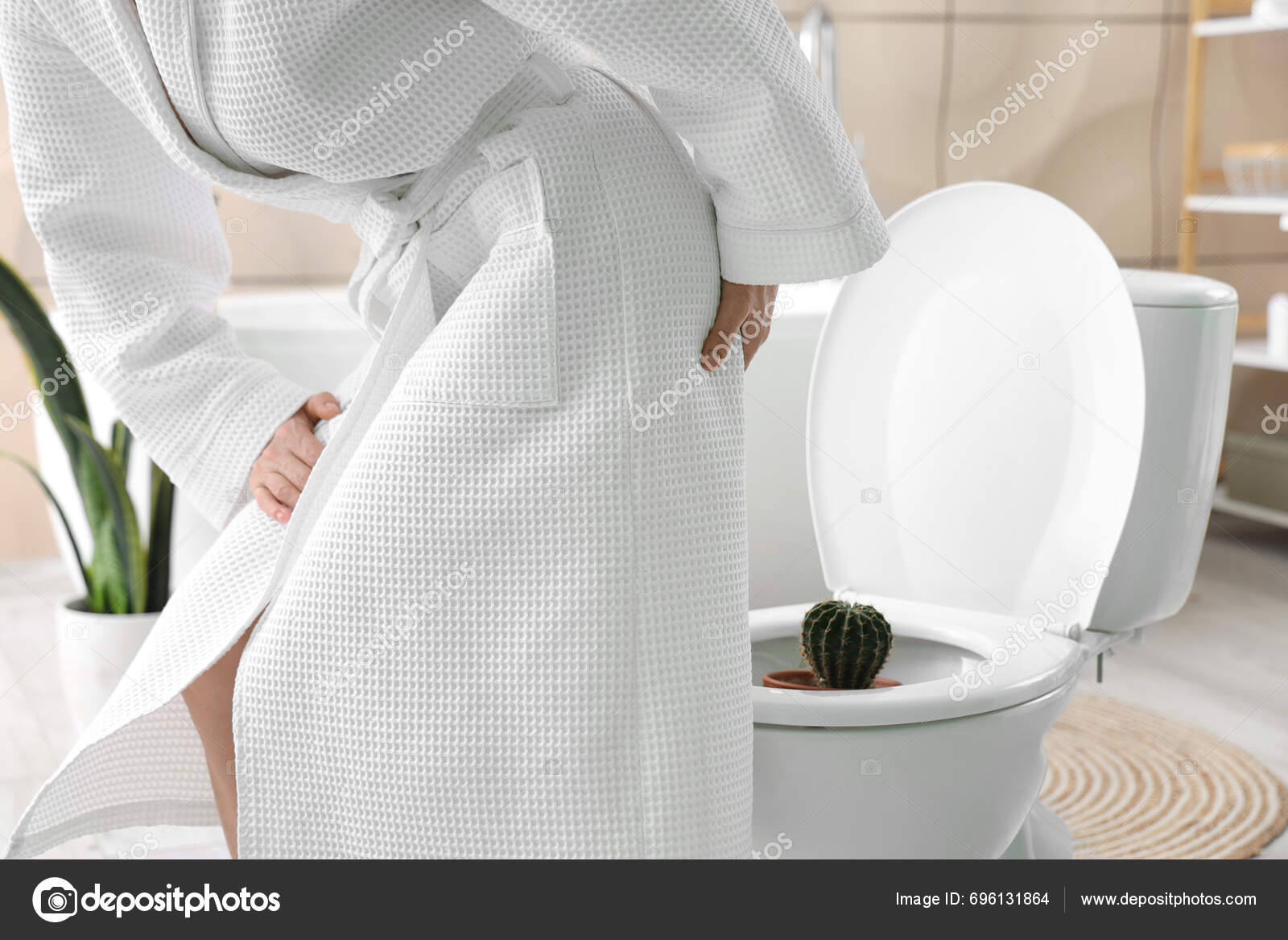 Mature Woman Toilet Bowl Cactus Restroom Closeup Hemorrhoids Concept