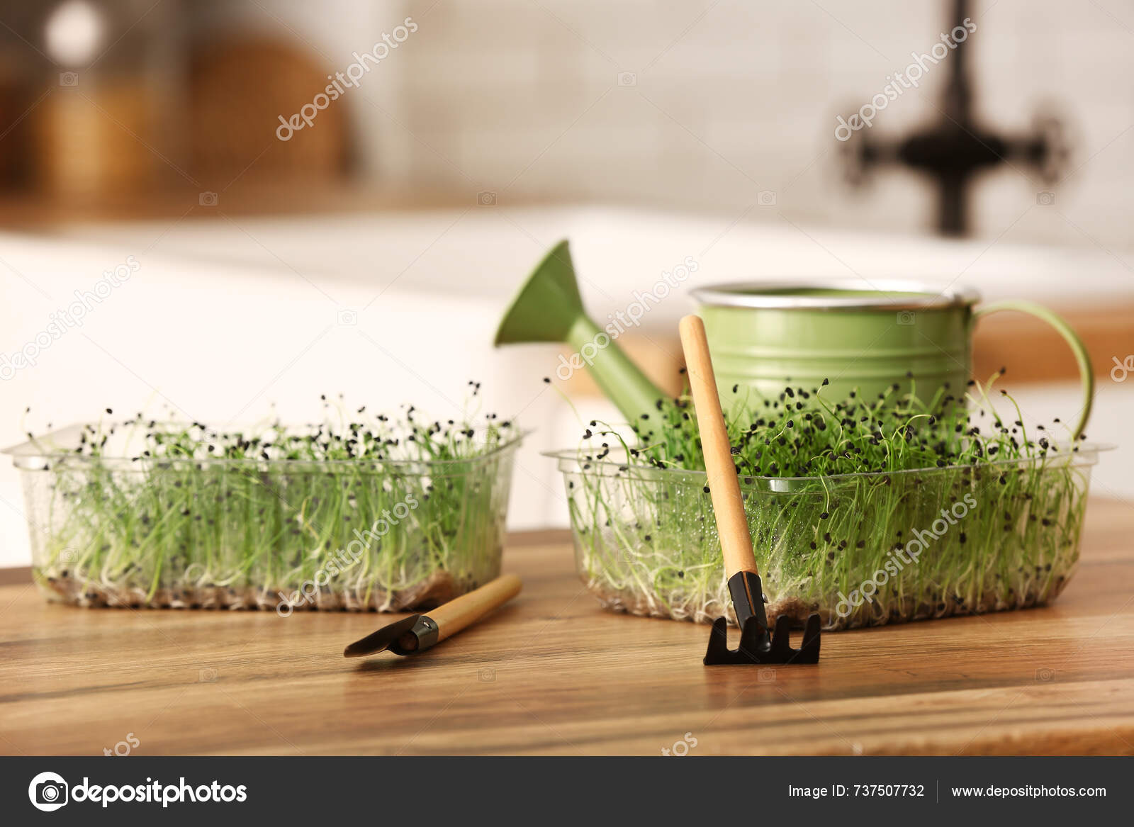 Plastic Containers Micro Green Shovel Rake Table Kitchen — Stock Photo ...