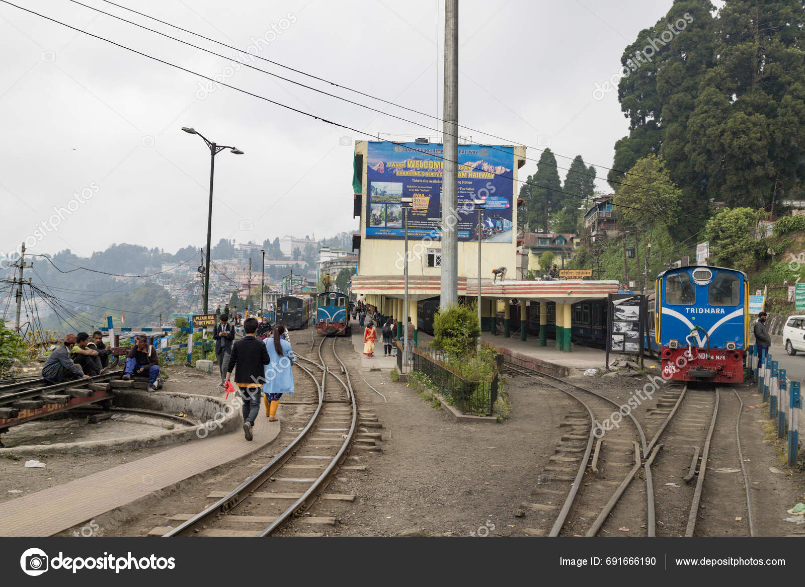 Primula Mistassinica Also Known Mistassini Primrose Lake Mistassini ...