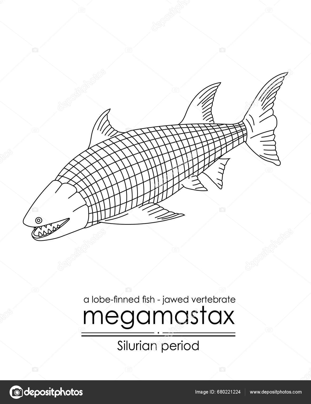 Megamastax Período Silúrico Vertebrado Con Mandíbulas Más Grande Pez ...