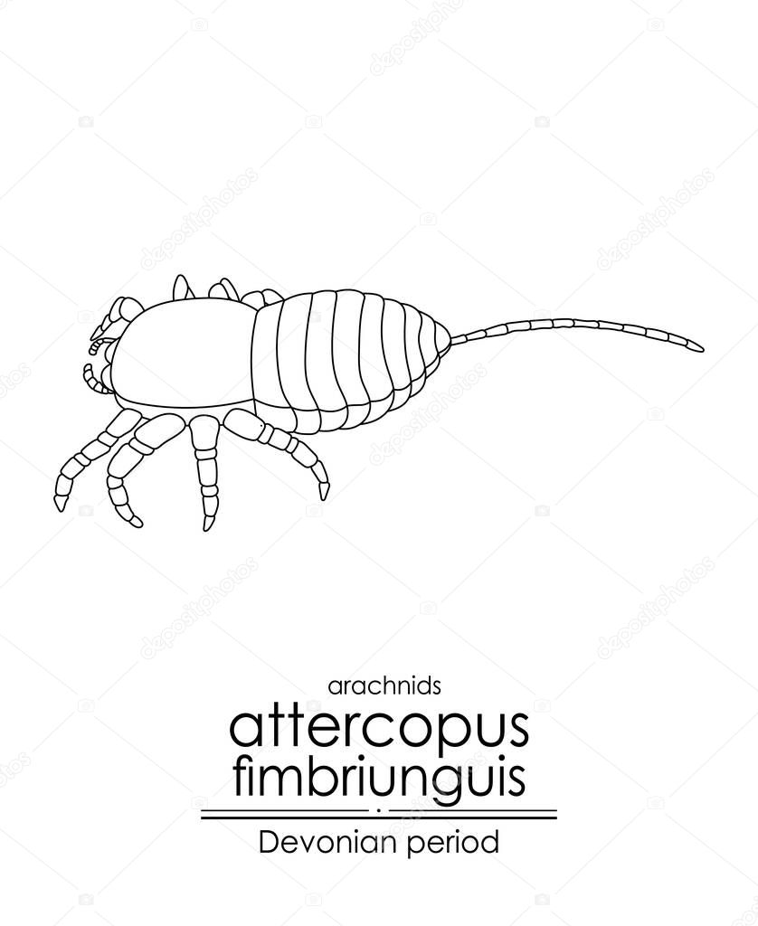 Attercopus fimbriunguis, un arácnido de época Devónica, la ilustración ...