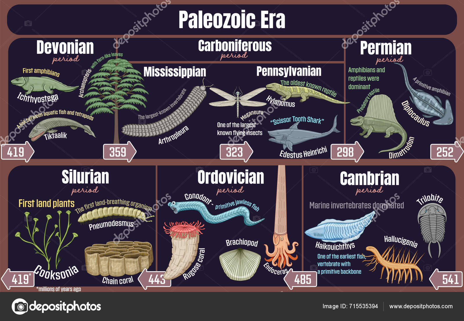 Image vectorielle Époque Paléozoïque Chronologie Géologique S'étendant ...
