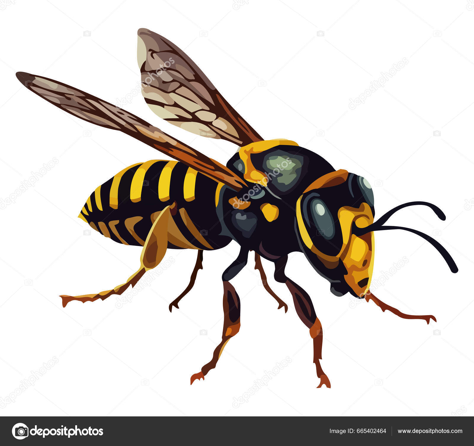 Puntura Di Calabrone Nero