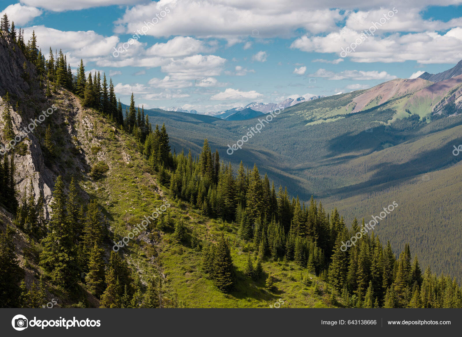 Natural Slope Which Wild Sheep Rest Distance Mountain Wild Life Stock ...