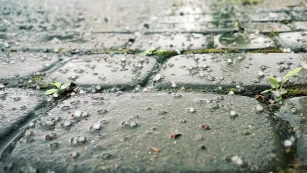 3,864 Hail Videos, Royalty-free Stock Hail Footage | Depositphotos