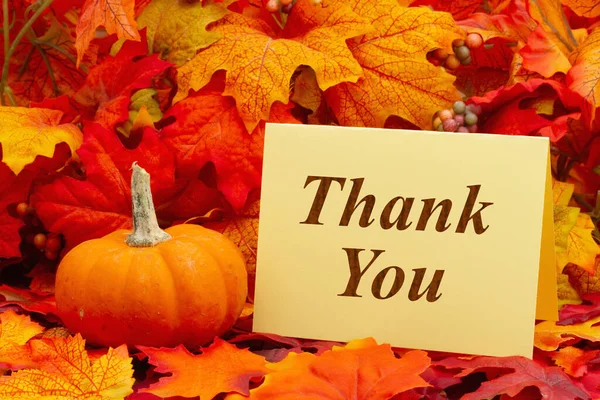Fall thank you Stock Photos, Royalty Free Fall thank you Images ...