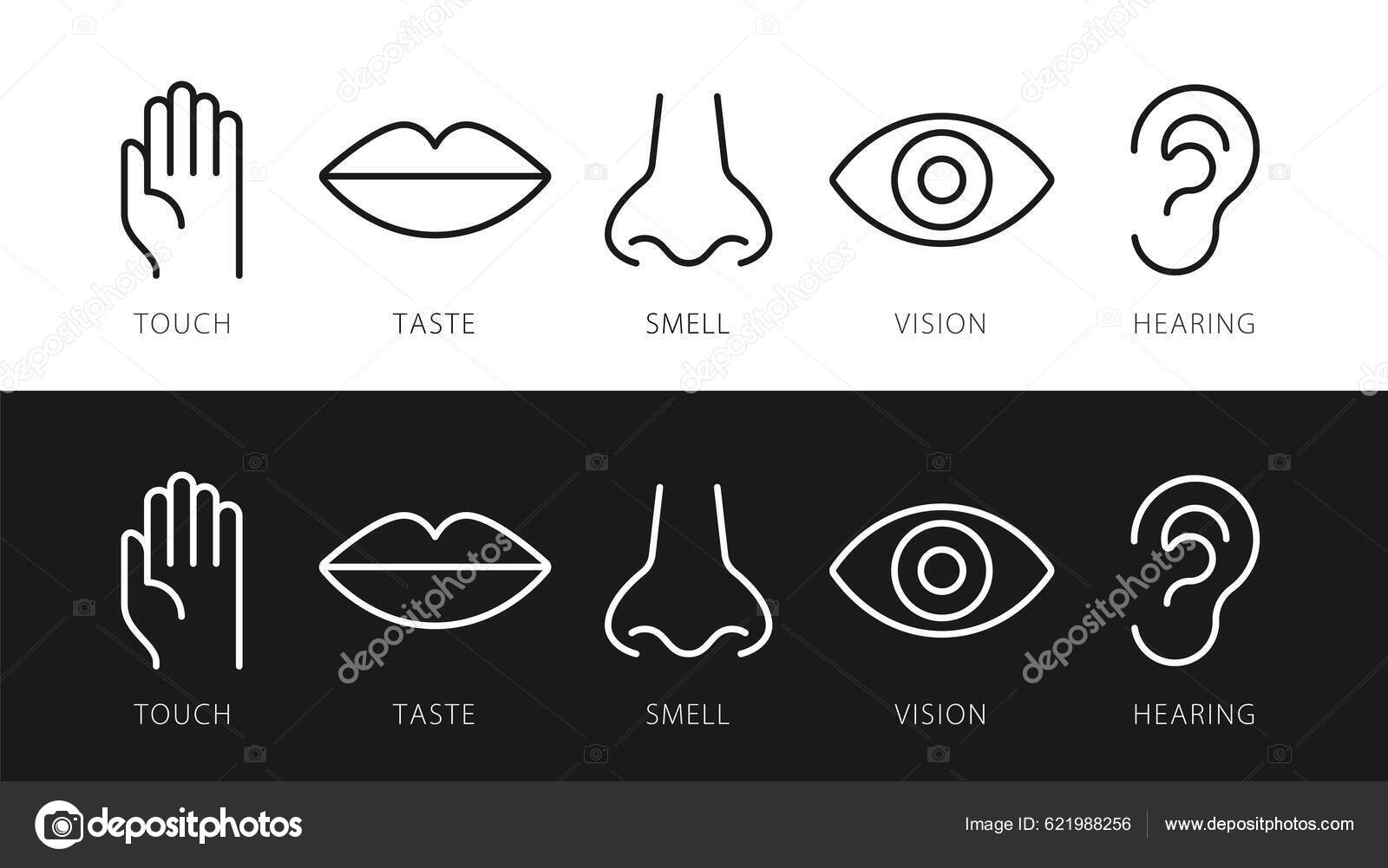 Sense Of Hearing Clipart Black And White