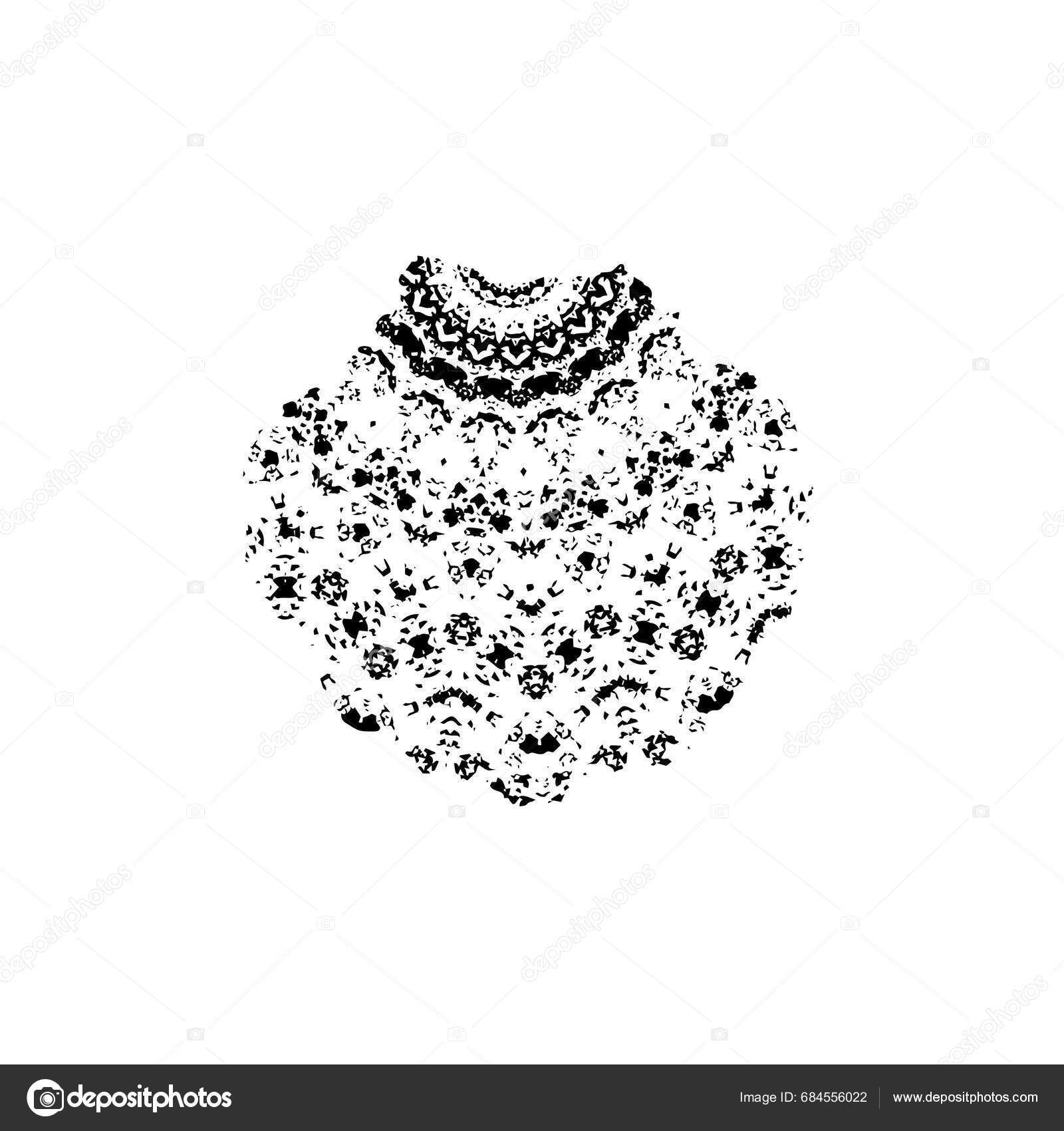 Black White Abstract Grunge Spot Isolated White Background Stock Vector ...