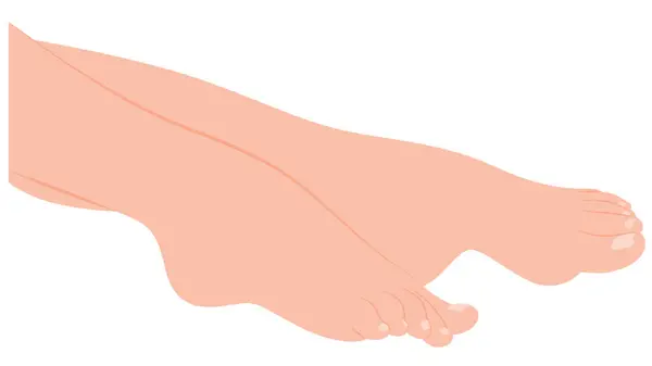 20,493,732 Feet arches Vector Images | Depositphotos