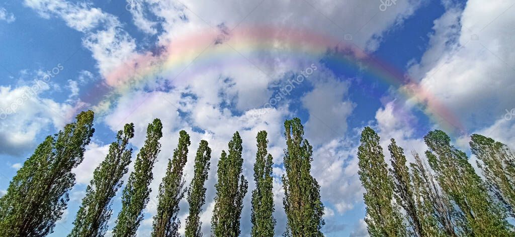 Arco iris brillante en el cielo con nubes por encima de la fila de árboles. Paisaje natural ...
