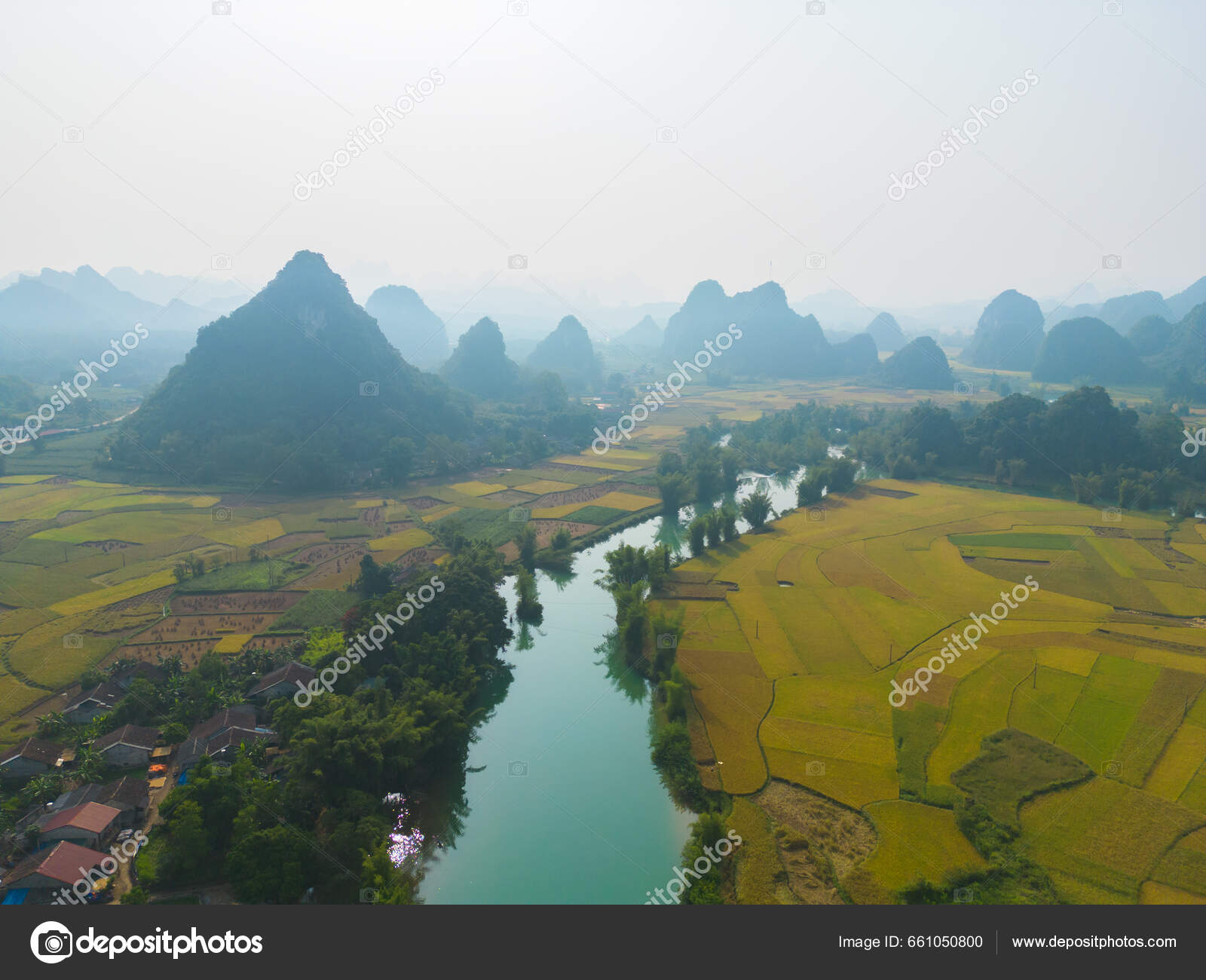 Aerial Top View Fresh Paddy Rice Terraces Green Agricultural Fields ...