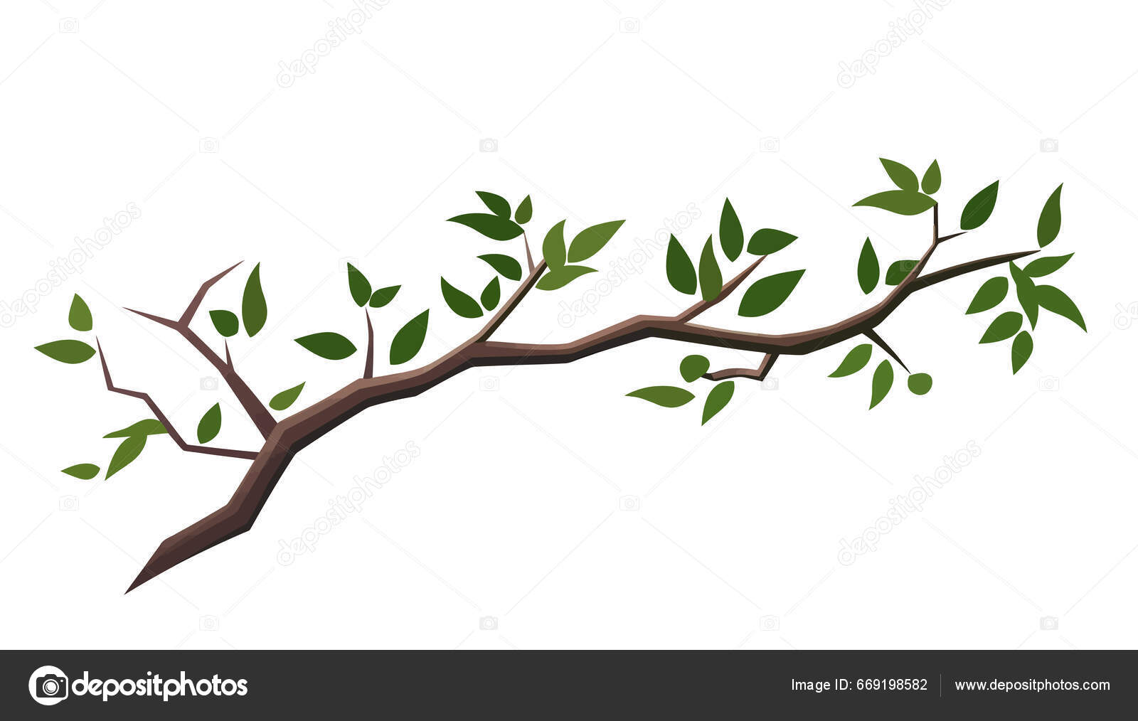 Horizontal Tree Branch