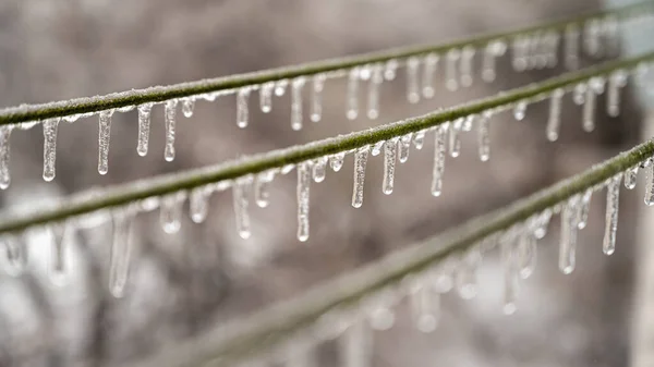 Electric cables, wires are covered with ice after the phenomenon of ...