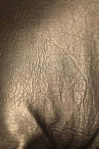 Transparent leather texture Stock Photos, Royalty Free Transparent ...