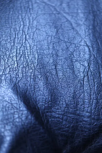 Blue leather Stock Photos, Royalty Free Blue leather Images | Depositphotos