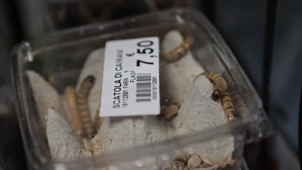 9,450 Detalle escena Videos, Royalty-free Stock Detalle escena Footage ...