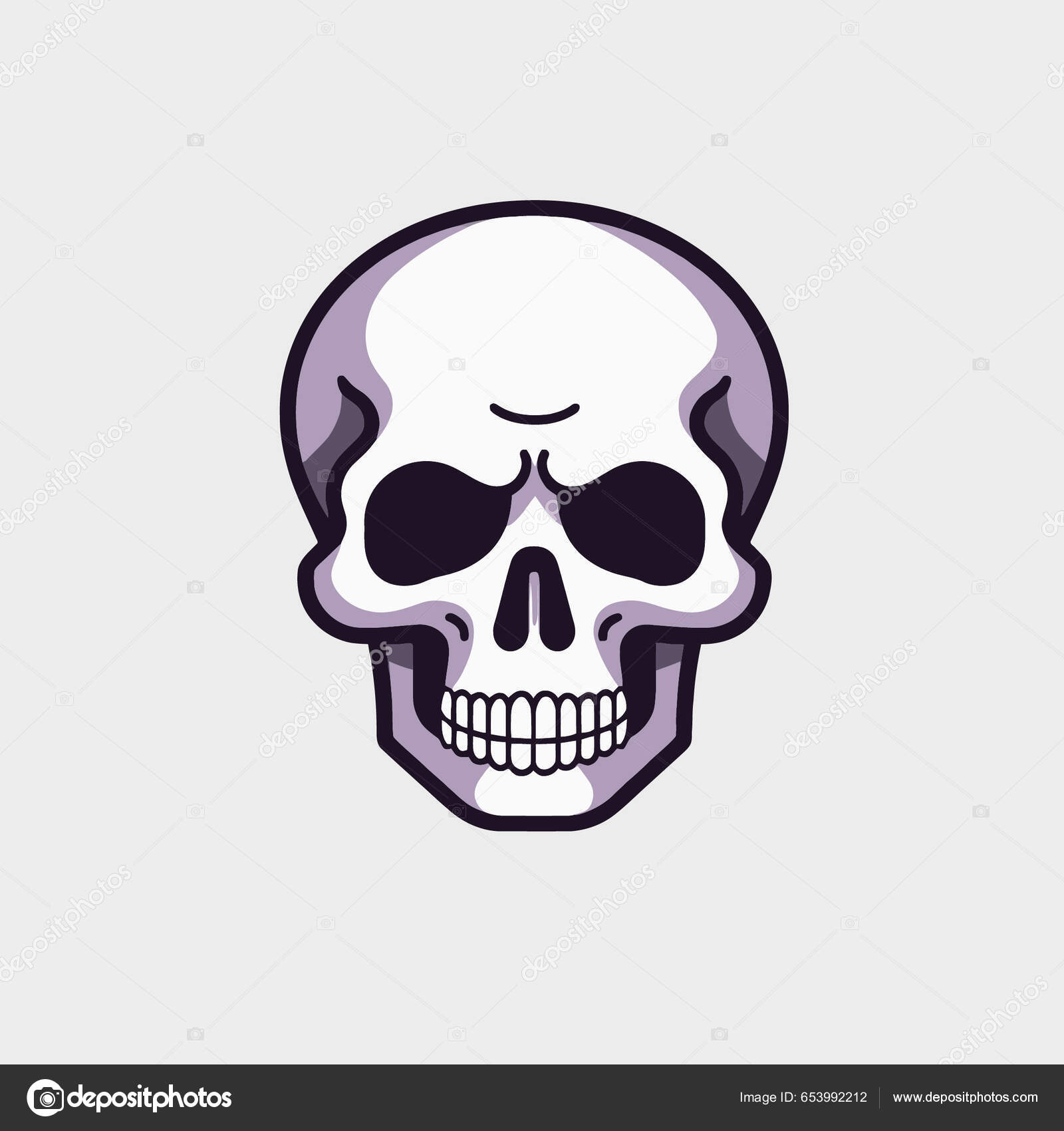 Calaveras Humanas Anatómicamente Correctas Aisladas Ilustración ...