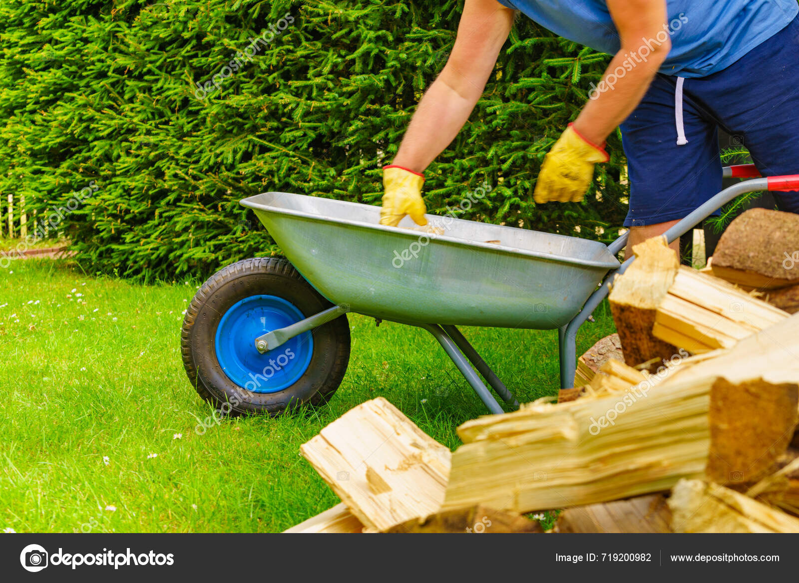 Man Loading Firewood Wheelbarrow Preparation Winter — Stock Photo ...
