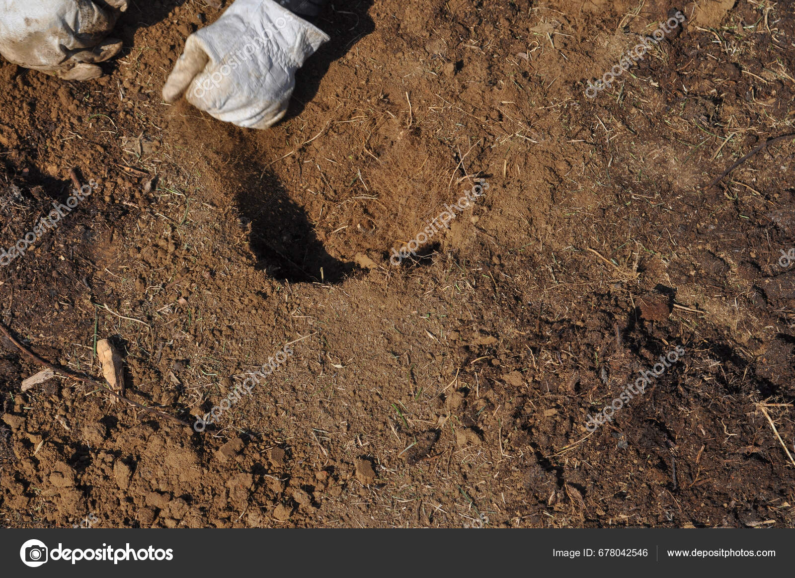 Reforestation Co2 Reduction Permaculture Mulching Soil Richness — Stock ...