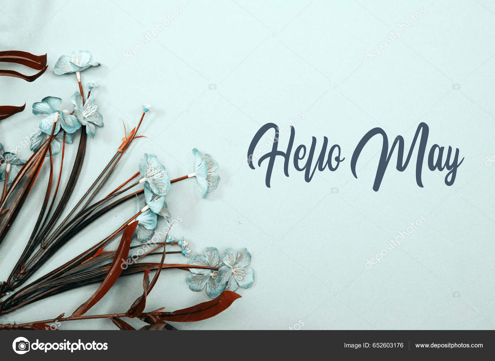 Hello May Hand Lettering Card Spring Flowers Blue Background — Stock ...