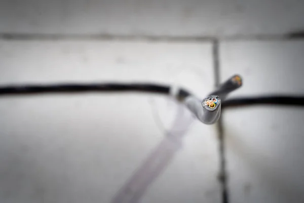 Close-up of two three-wire wires attached to the wall. Wiring of ...