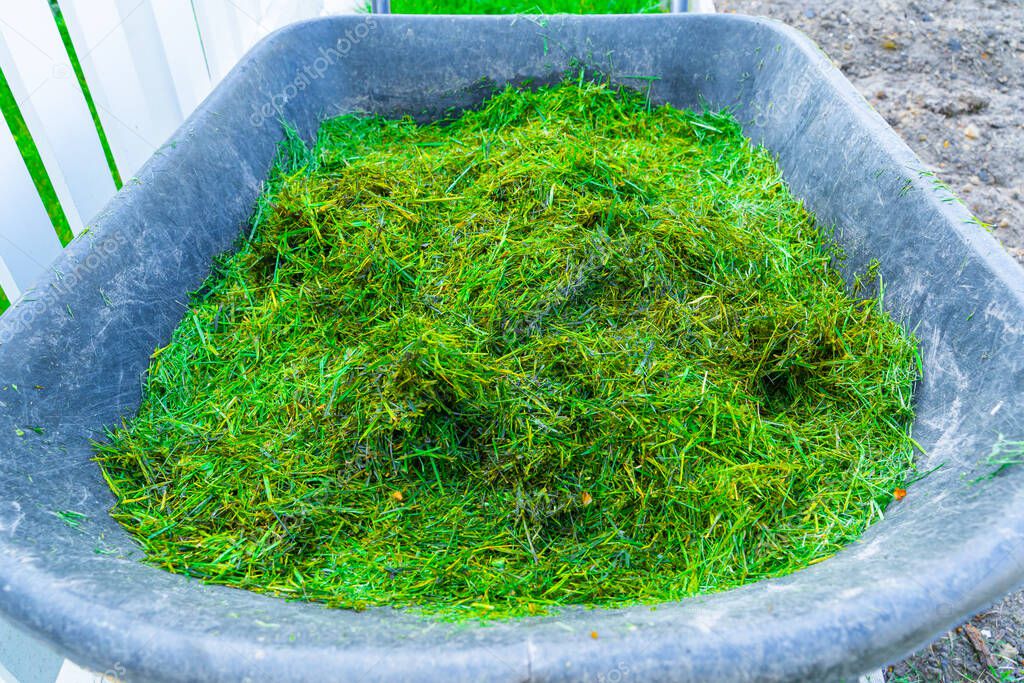 La carretilla de jardín está llena de césped cortado hierba para su uso ...