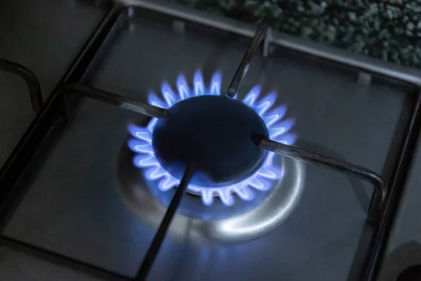 Closeup shot of blue fire from domestic kitchen stove top. Gas cooker ...
